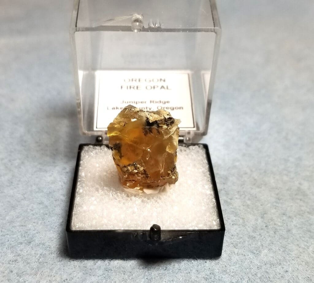 Oregon Fire Opal Juniper Ridge Specimen Thumbnail 21x12mm 12.54crts ...